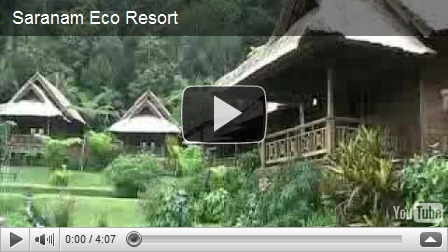 Tabanan Bali Hotel: Saranam Eco Resort a beautiful place to stay ...